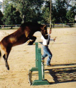 Prairie Wind Miniatures